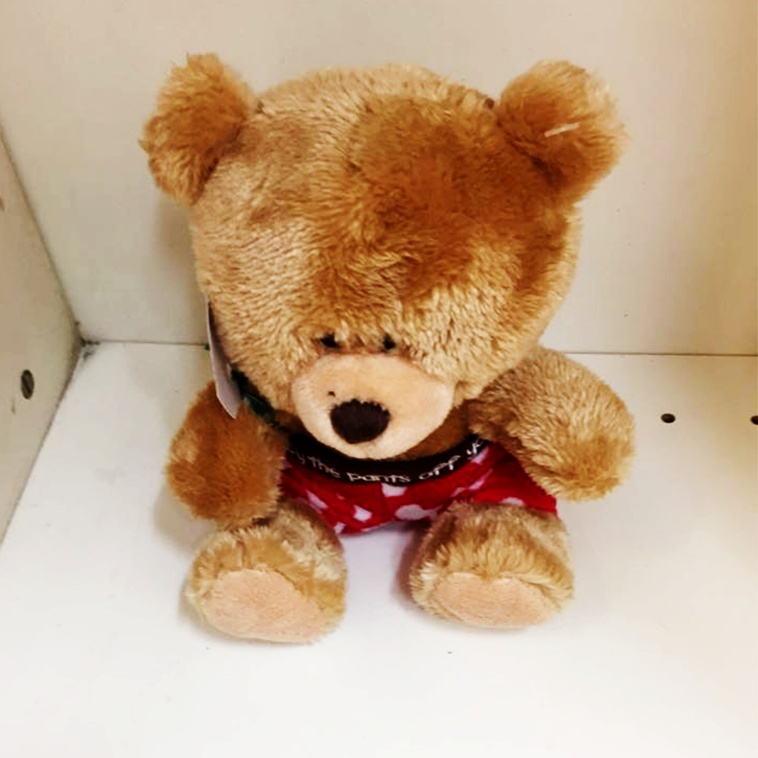 Mr Fancy Teddy | Sun Florist & Events | Teddy Gifts & Flowers